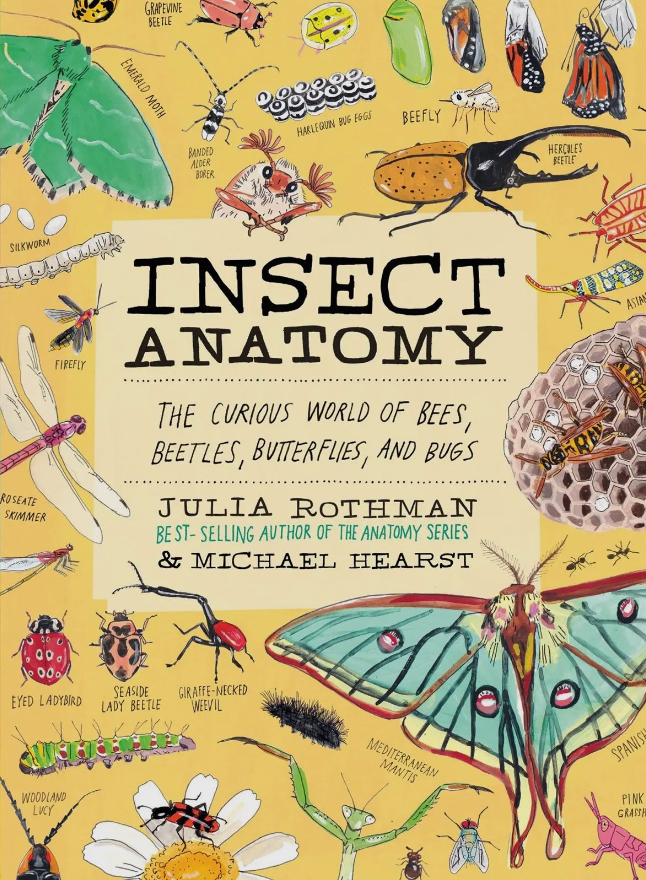 Julia Rothman Anatomy Books – Studio RK